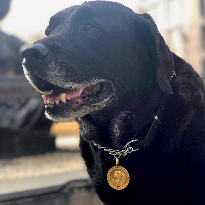 Cool 3D Personalized Dog Tags for Large Dog Breeds | Lepeto