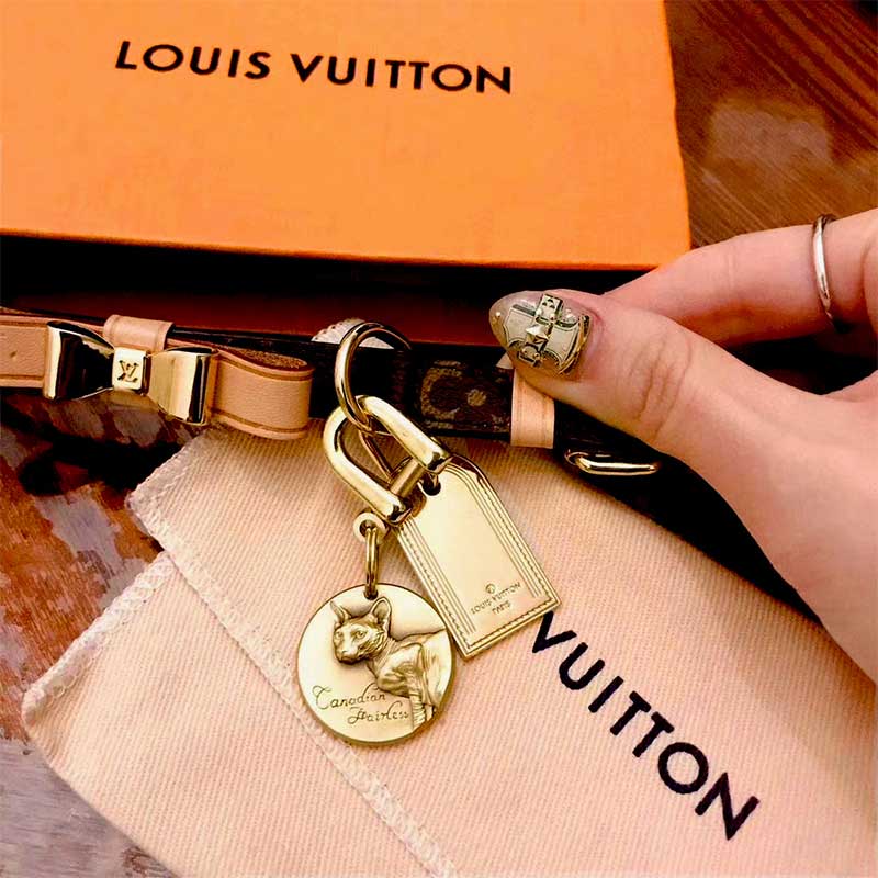 3D Custom Cat ID Tags | Lepeto